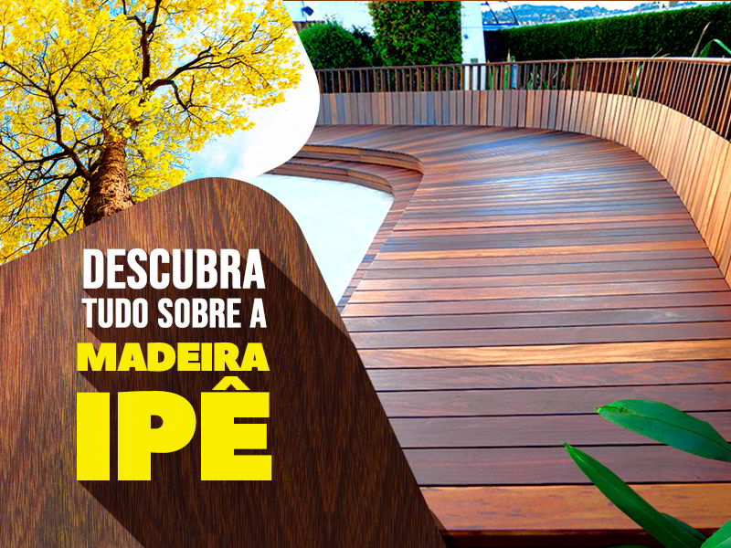 Tudo Sobre a Madeira Ipê - Características e Usos!
