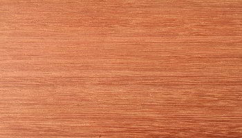 Tudo Sobre a Madeira Cedrinho - Madeireira Cedro