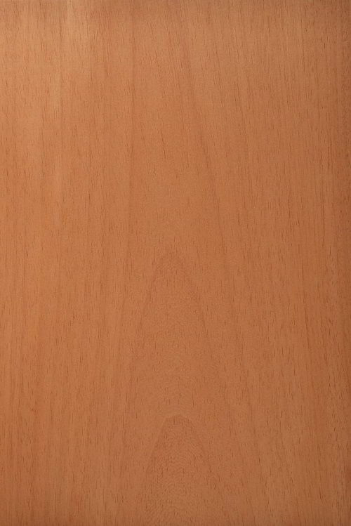 Jequitibá: Madeira Nobre de Fino Acabamento! - Madeireira Cedro