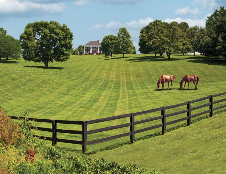10 Cercas de Madeira para Inspirar seu Projeto! - Madeireira Cedro